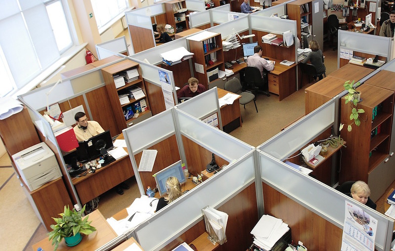 Career Update: Pros And Cons Of Working For A Former Employer - Untemplater